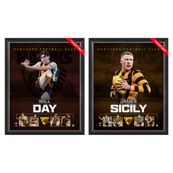 Hawthorn Hawks Package Official Licensed AFL Prints Framed Will Day ...