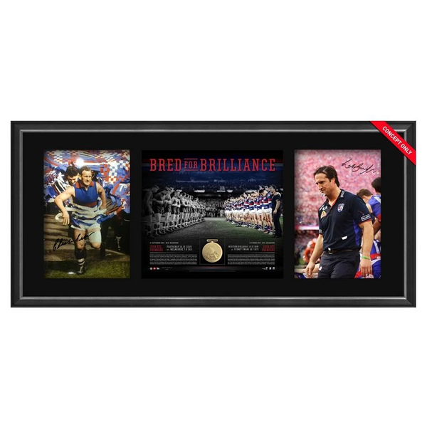 Western Bulldogs & Footscray Premiers Captain Afl Collage Framed Sutto ...